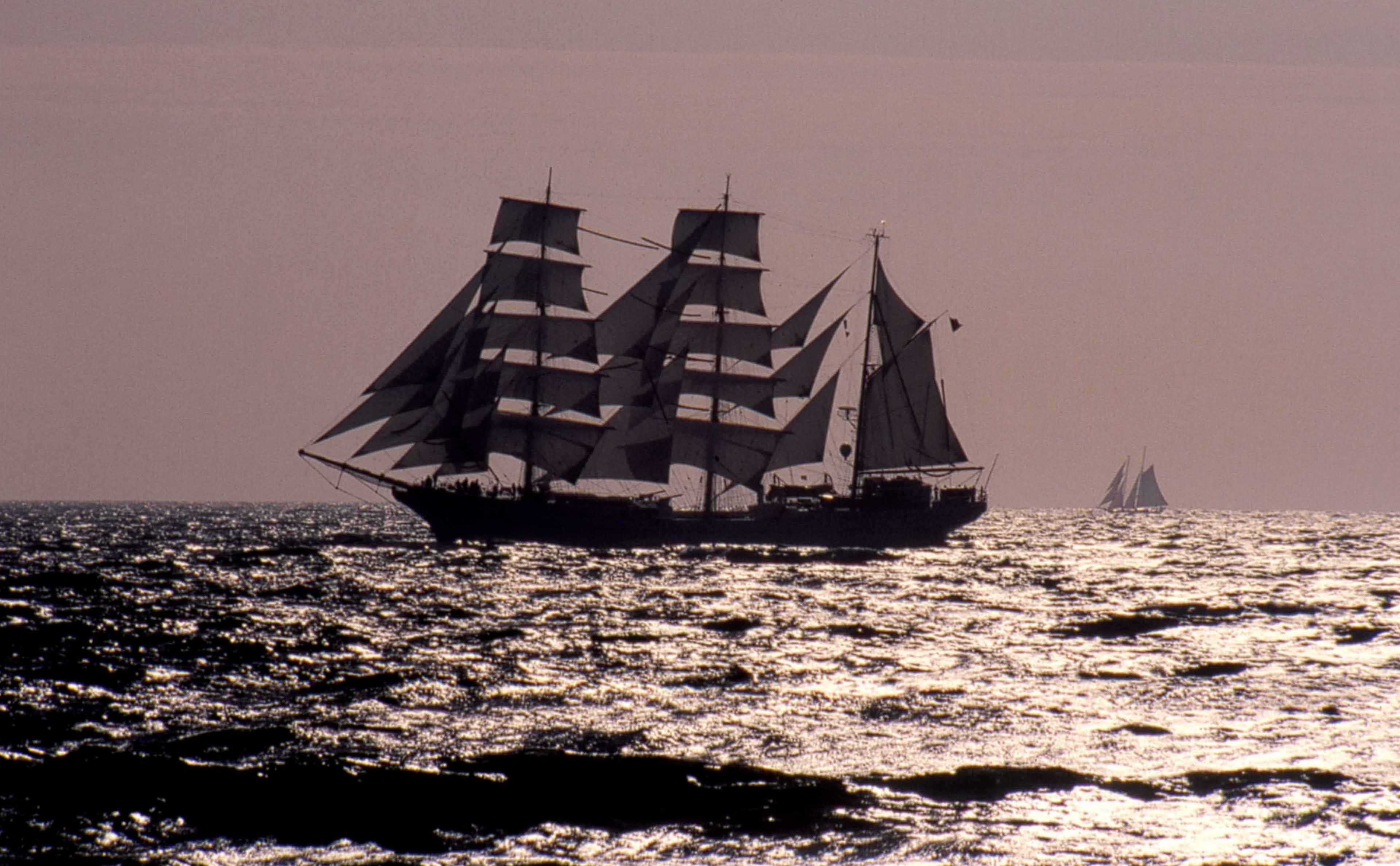 Tall-Ship Friends Deutschland - Segeln auf Windjammern ⛵